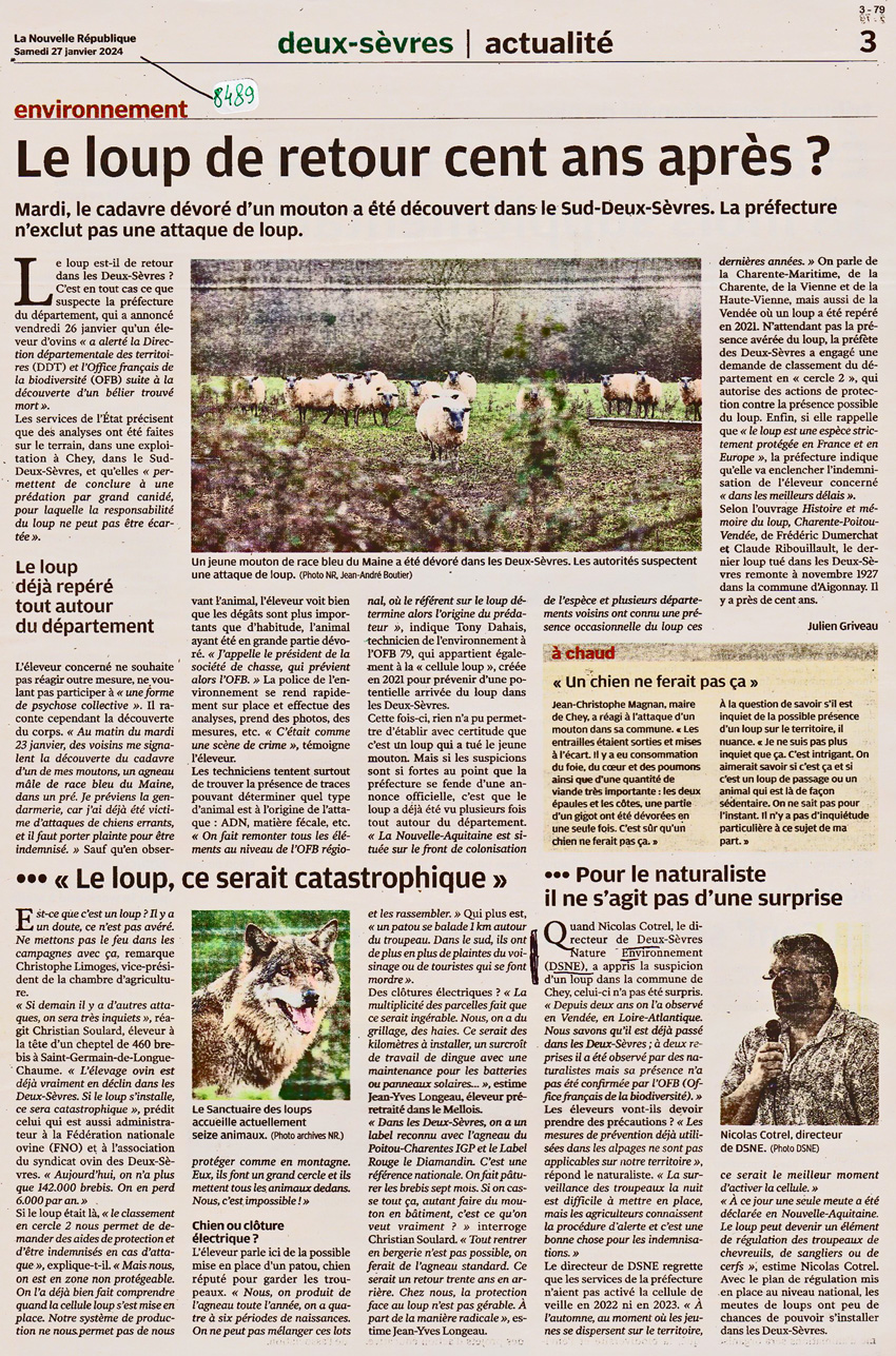 2029 – Le loup de retour cent ans après ? – Deux-Sèvres Nature ...